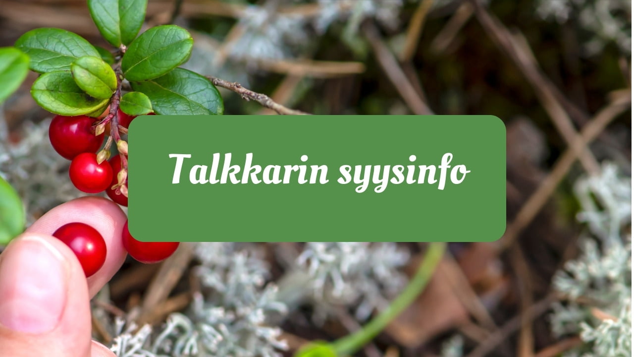 Asiakastiedote syksy 2023 | Kouvolan Talohuolto Oy